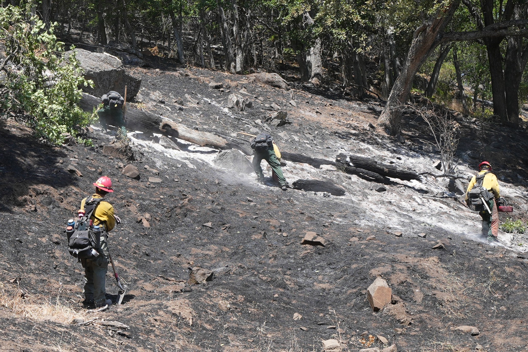 Wildfire season begins in Marion County, statewide. Here’s what to know ...