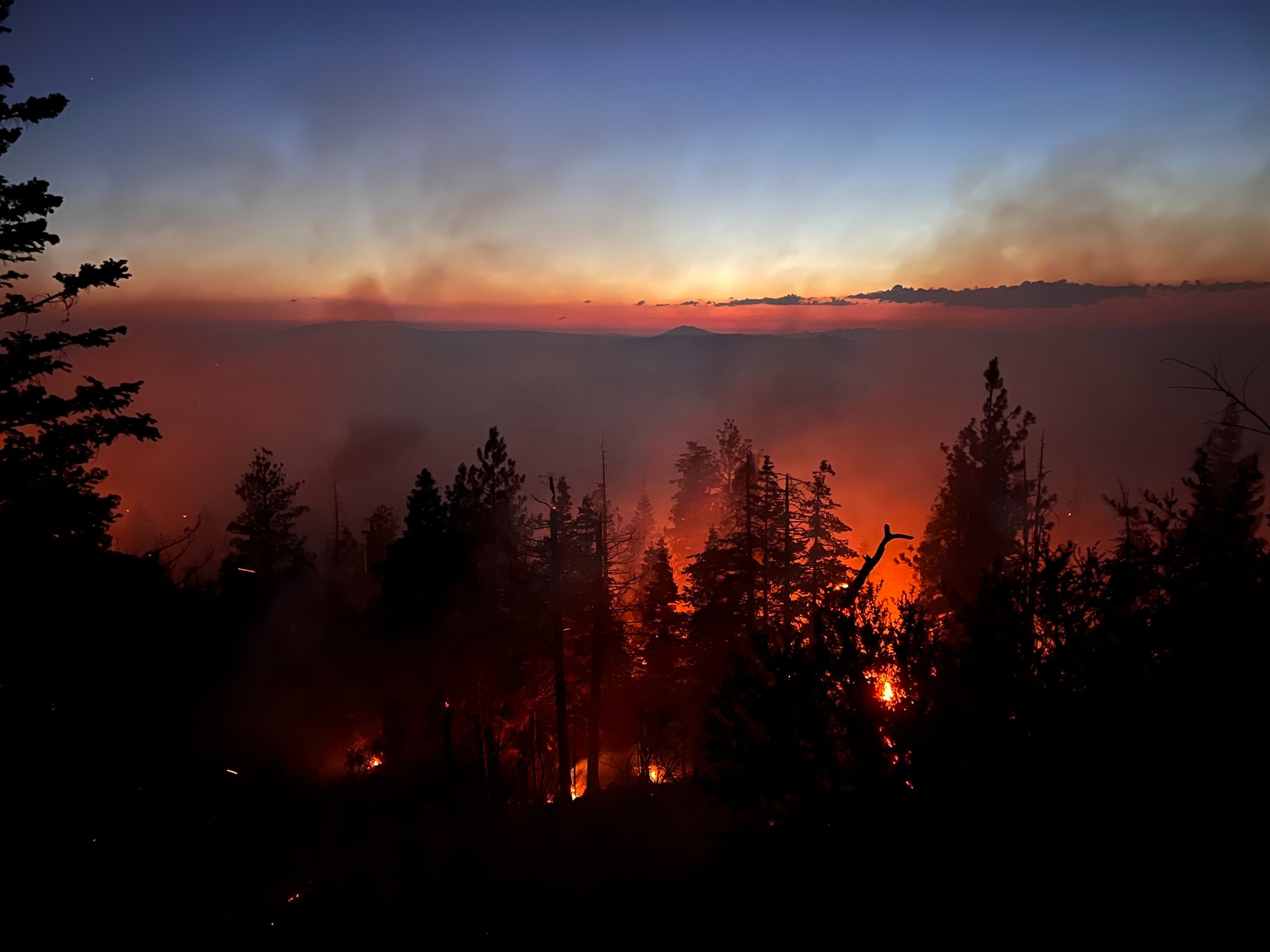 2 Woodburn firefighters deployed to help fight Elk Fire in Bonanza ...
