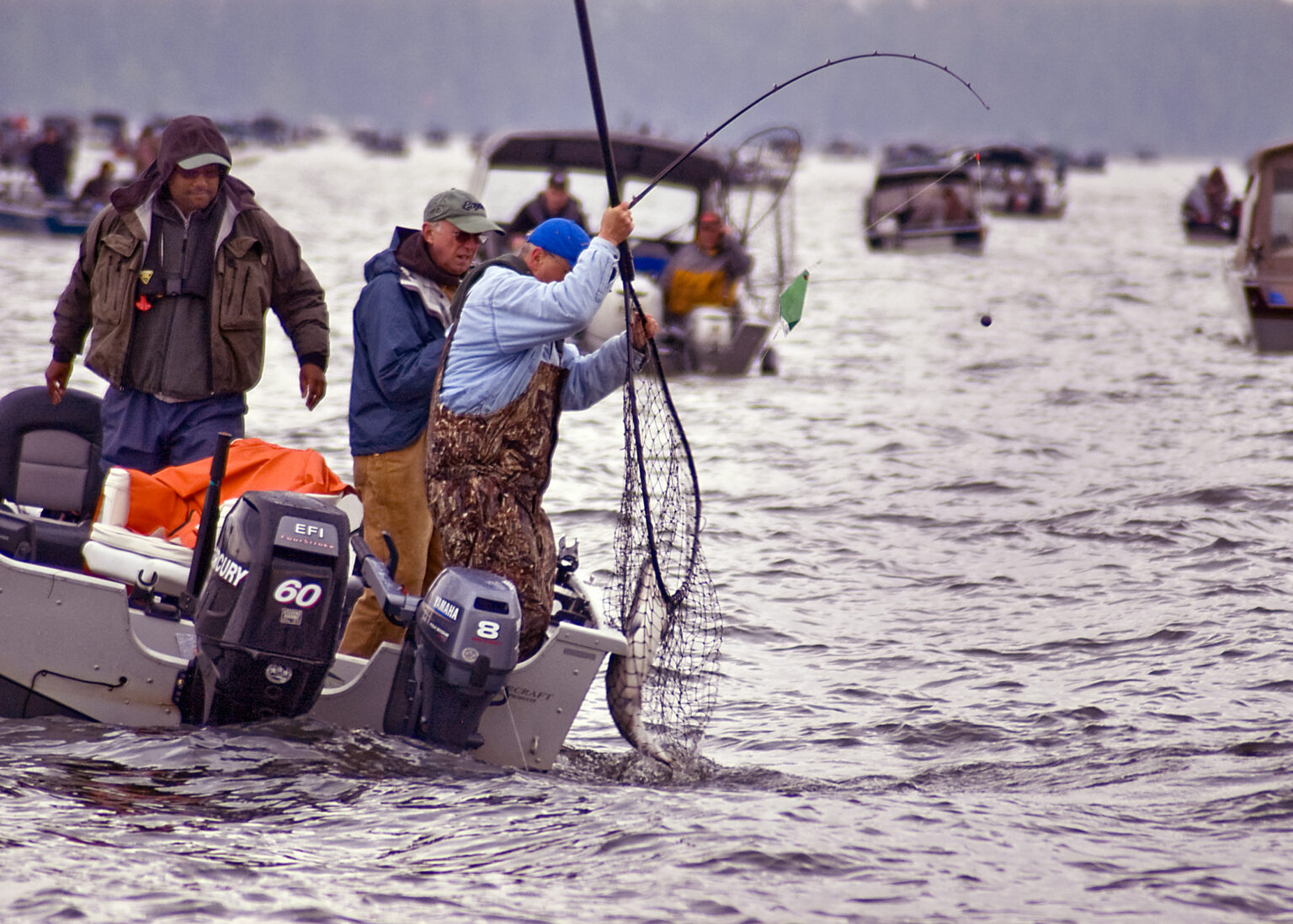 Tribe-led partnership could bring back Chinook salmon fishing to ...