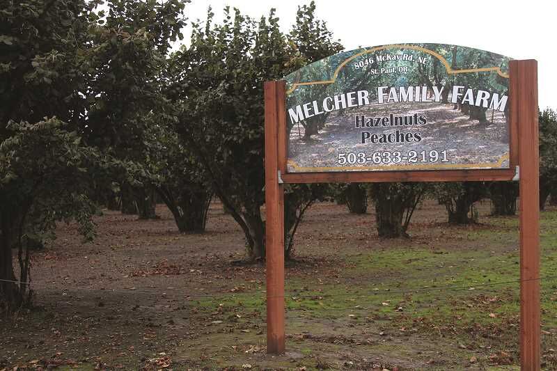 State Plate | Woodburn Independent